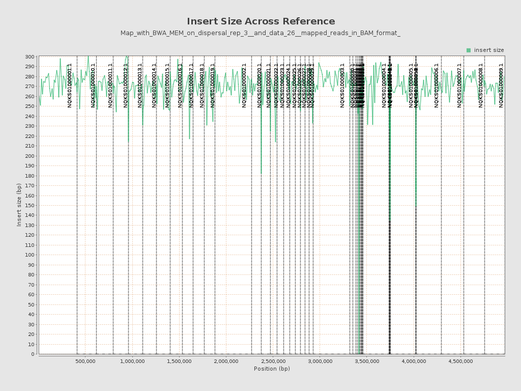 Qualimap report: BAM QC
