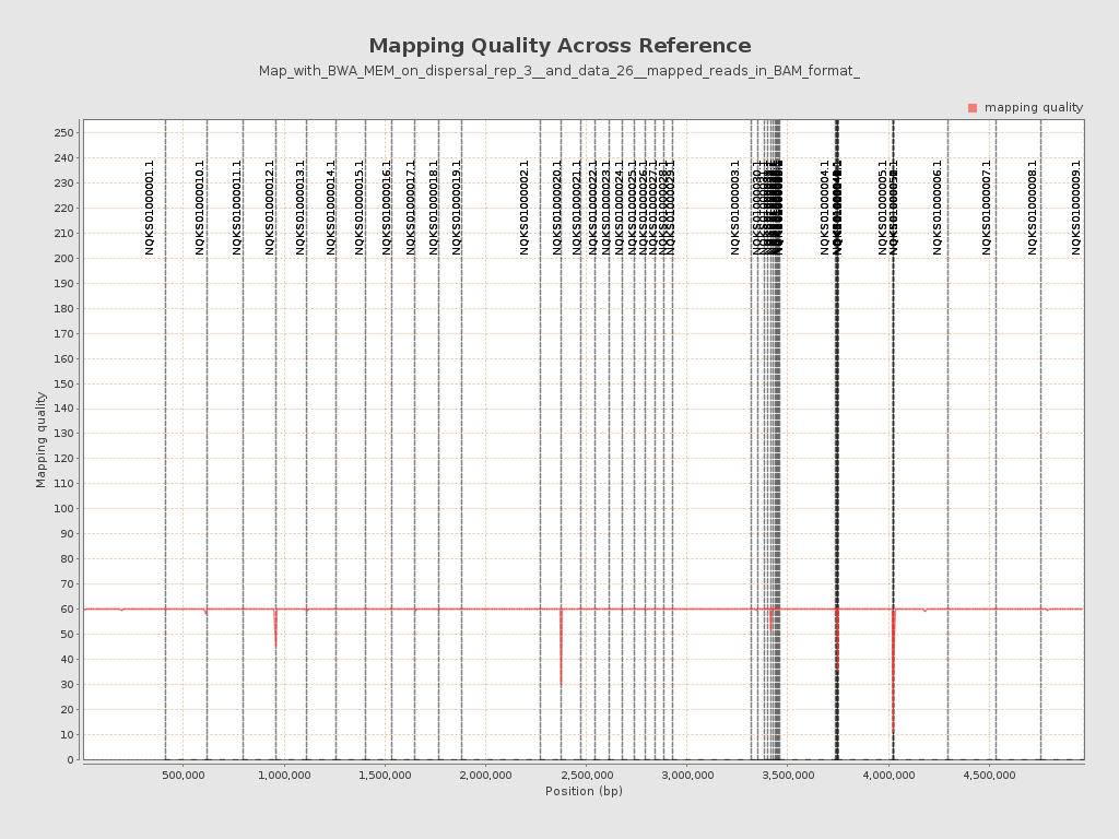 Qualimap report: BAM QC